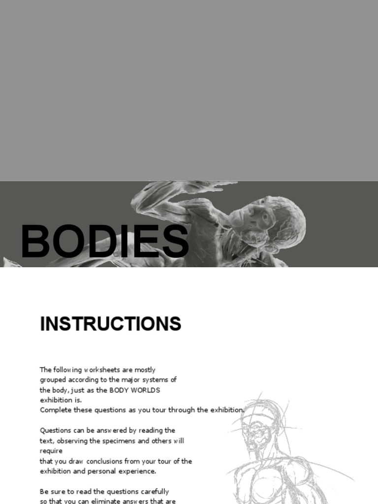 Solo Lo Hice Pa Descargar Algo No Vean Es Vergonzoso | PDF | Twin | Heart