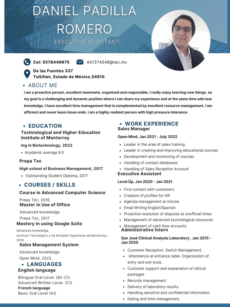 Executive CV_merged | PDF