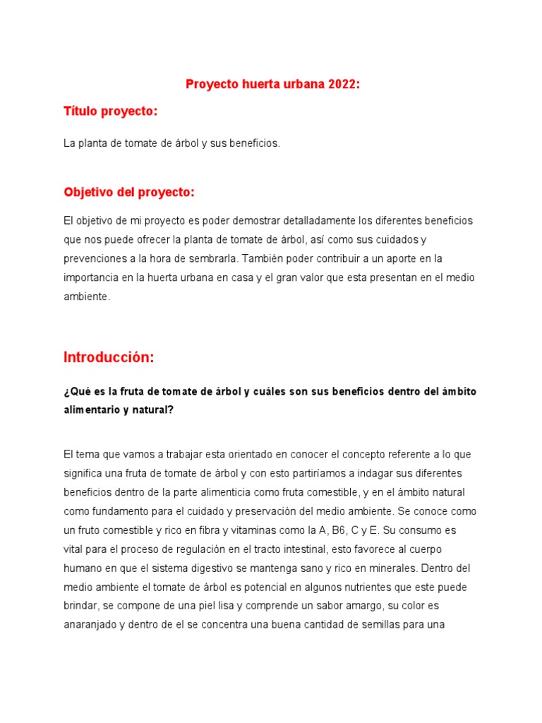 Avance Proyecto Huerta Urbana 2022 | PDF | Alimentos | Siembra