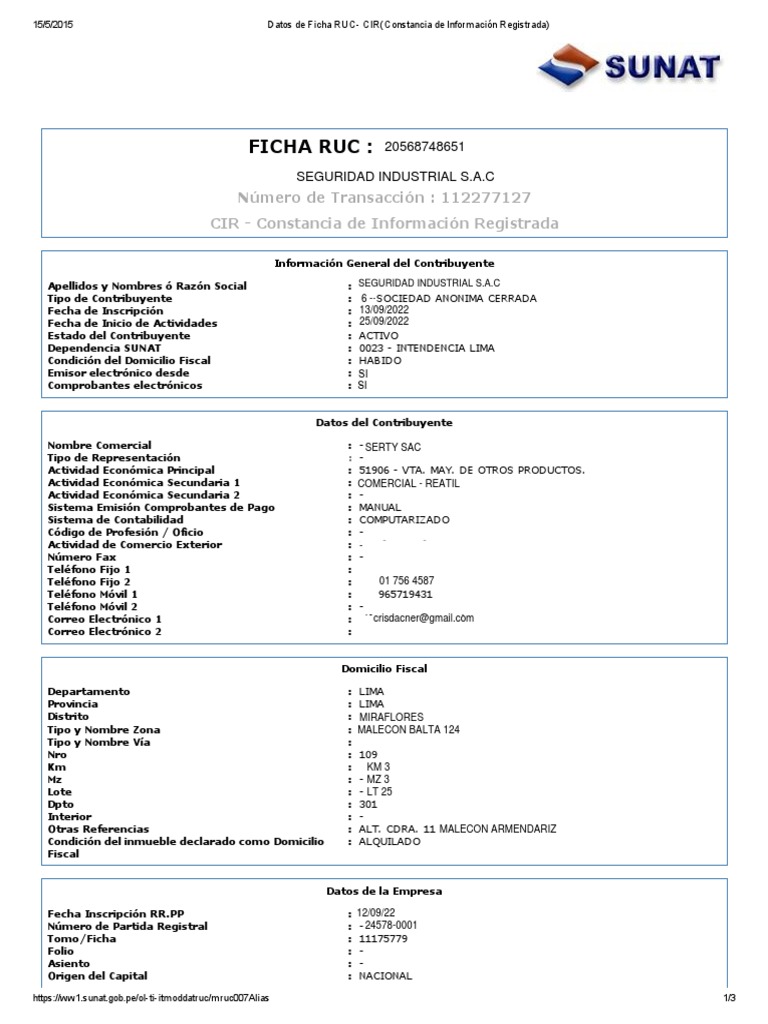 Modelo de Ficha RUC | PDF | Lima | Industrias de servicio