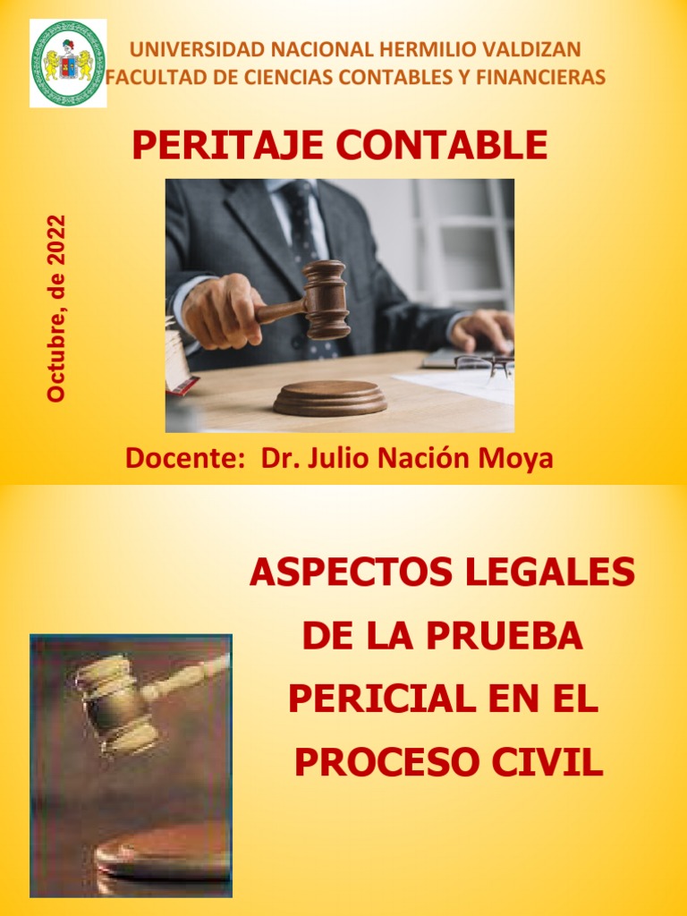 Prueba Pericial en Proceso Civil | PDF | Testigo experto | Evidencia (ley)