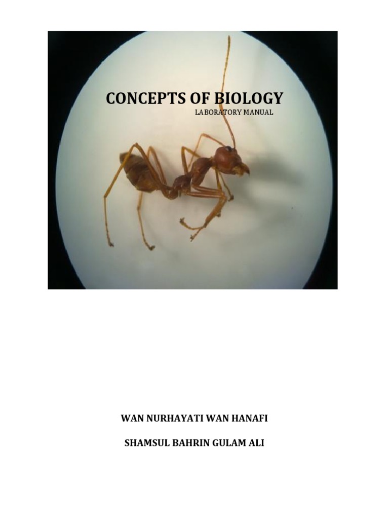 Concepts of Biology - Lab Manual | PDF | Mitosis | Chromosome