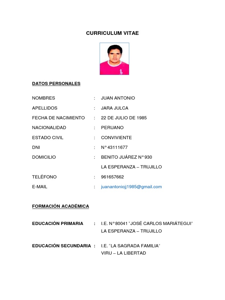 CV - Juan Antonio Jara Julca | PDF