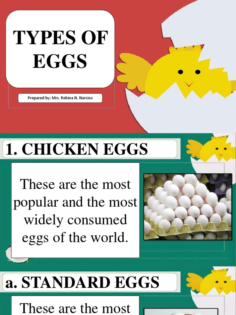 Lesson 3 - Types of Eggs | PDF