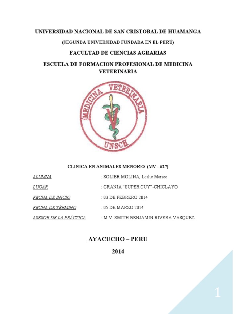 Informe Animales Menores | PDF | Digestión | Conejillo de indias