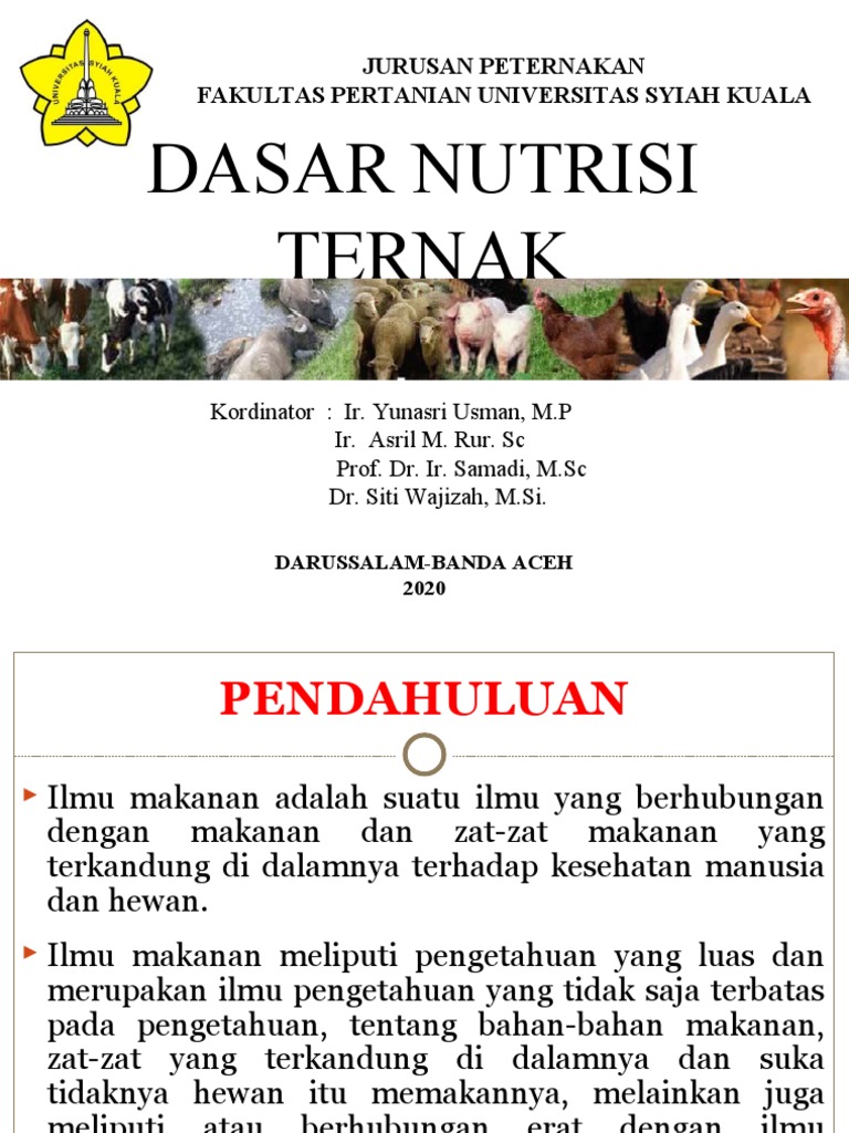 BAHAN KULIAH DASAR NUTRISI TERNAK 1.pptm-1 | PDF