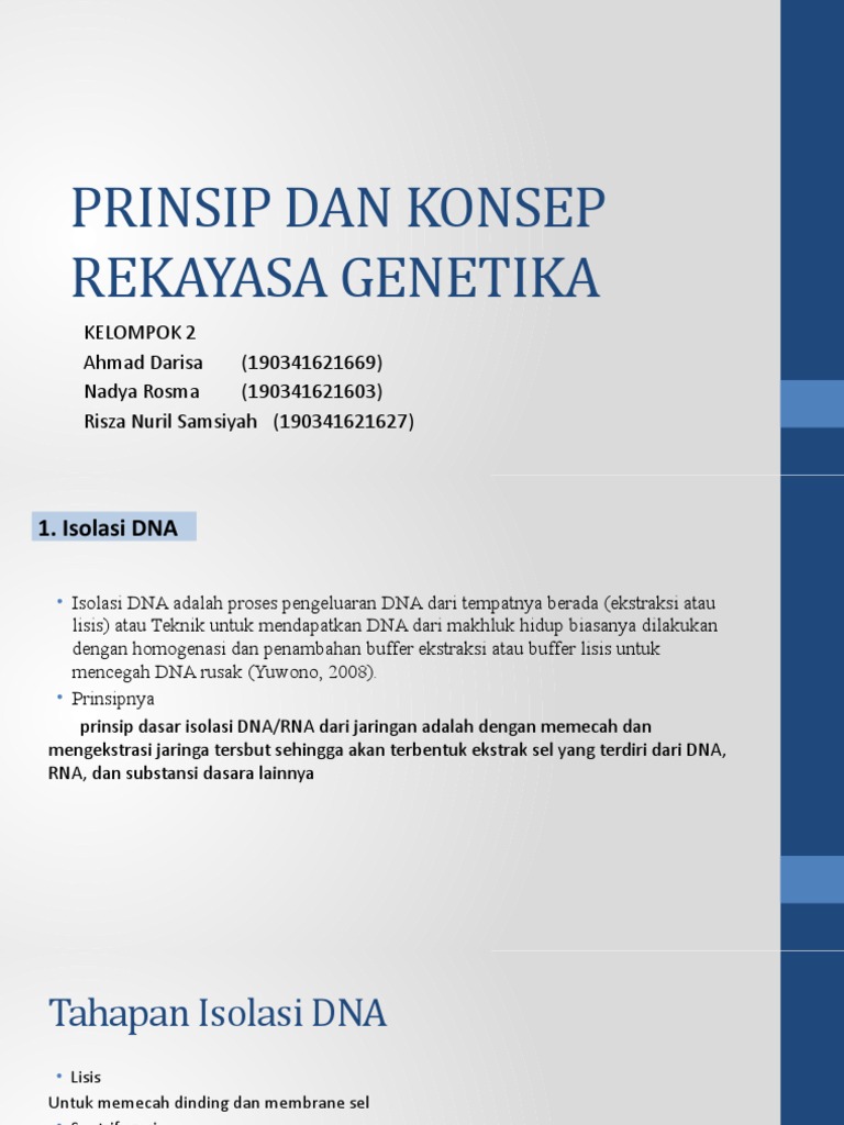 Kelompok 2 - Prinsip Dan Konsep Rekayasa Genetika | PDF