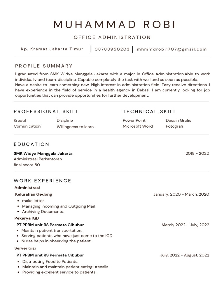 White Gold Elegant Minimalist ATS Data Analyst Resume CV A4 Printable | PDF