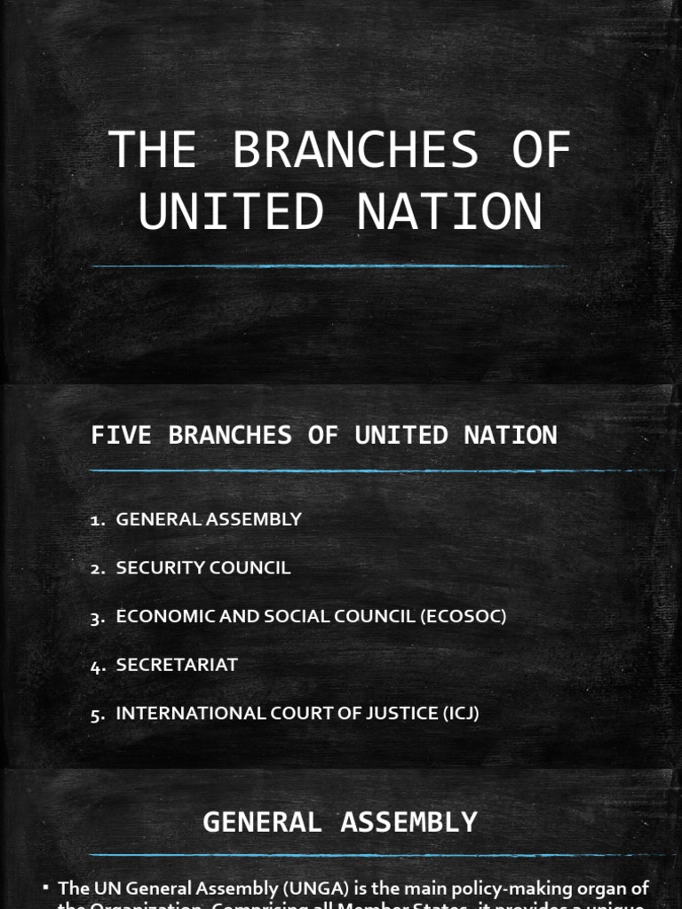 The Branches of United Nation .. | PDF | United Nations | International ...