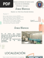 Funciones del Área Gris en Quirófano | PDF | Medicina CLINICA ...