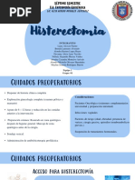 Incisión de Pfannenstiel: Técnica y Aplicaciones | PDF | Pelvis | Vagina