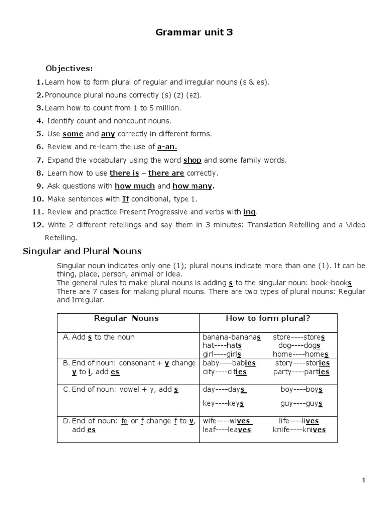 UNIT3 Grammarl1 | PDF | Plural | Grammatical Number