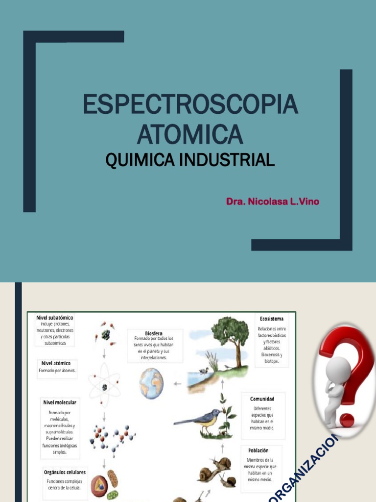 Espectroscopia de Absorcion y Emision Atomica | PDF