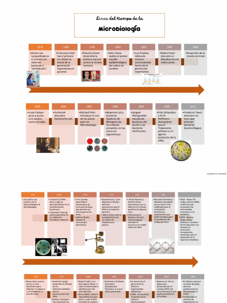 Microbiología - Linea Del Tiempo | PDF Microbiología - Linea Del Tiempo | PDF
