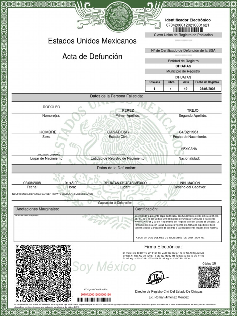 Estados Unidos Mexicanos Acta de Defunción: Identificador Electrónico | PDF | Vigilancia ...