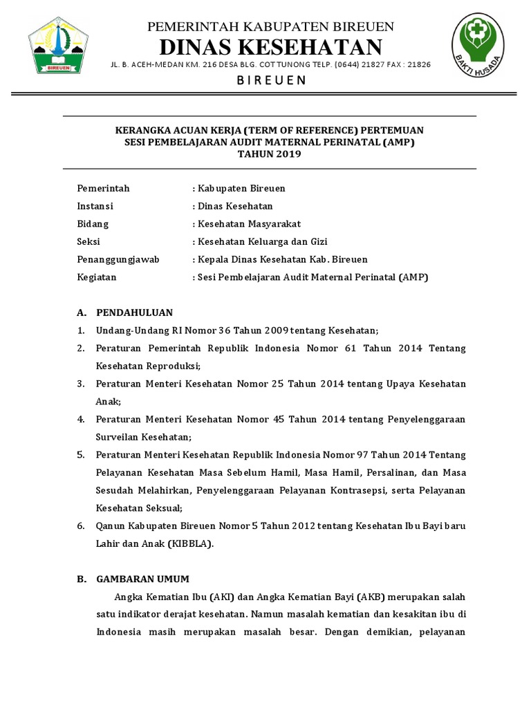 TOR Pembelajaran AMP Dinkes Bireuen | PDF