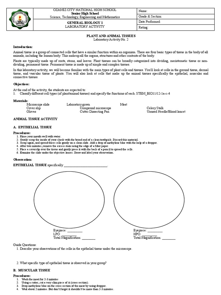 Plant and Animal Tissues Lab Activity | PDF | Tissue (Biology) | Staining