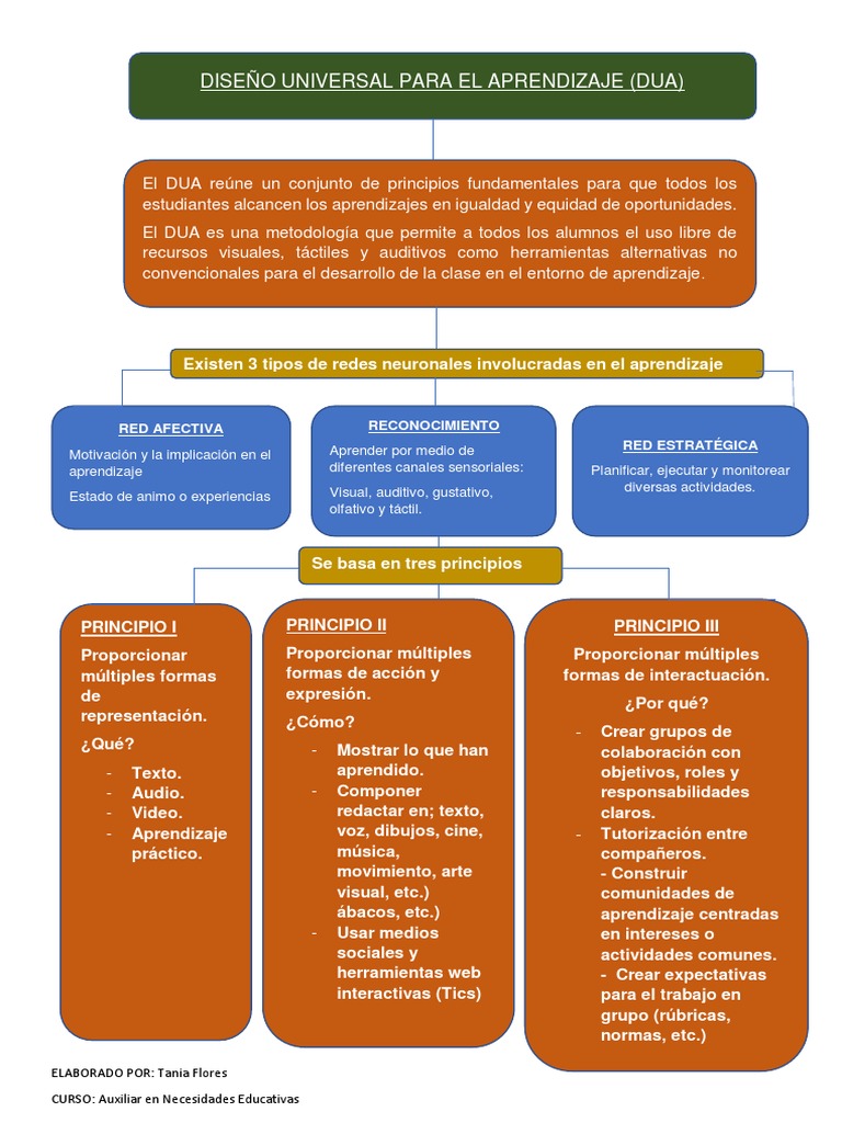 Mapa Mental DUA | PDF | Aprendizaje | Modificación de comportamiento