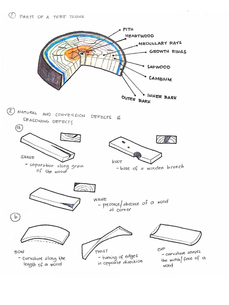 Timber Design Introduction | PDF