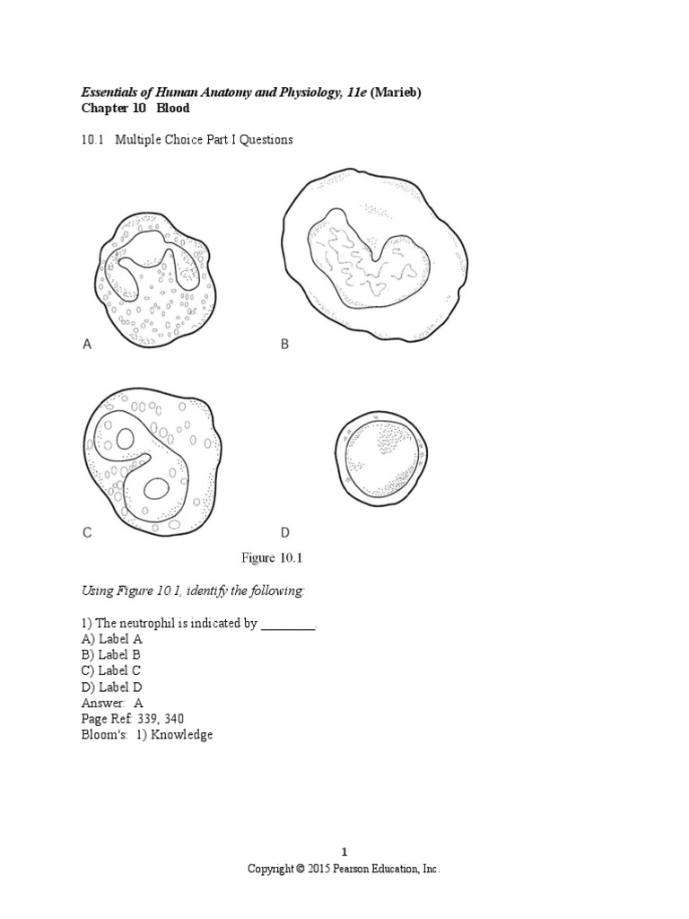CH 10 Test Bank | PDF | Blood Type | Coagulation