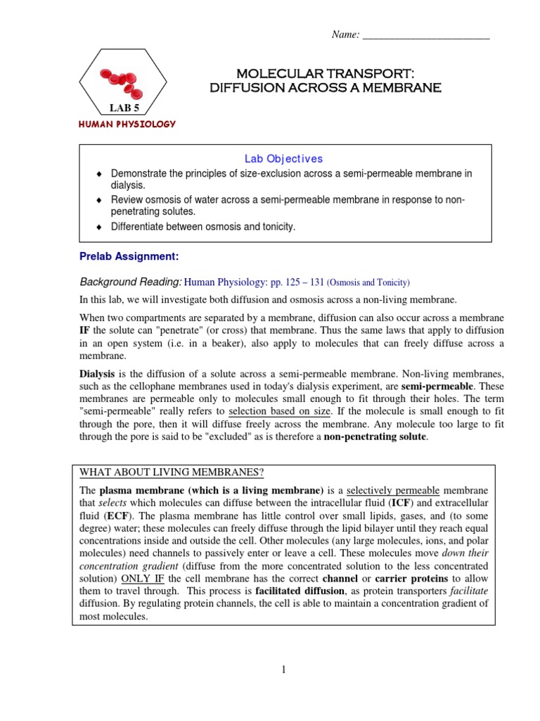 Understanding Molecular Transport Through Membranes: A Lab Experiment on Diffusion and Osmosis ...