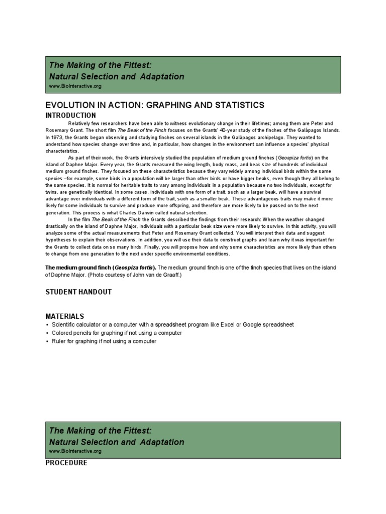 Ap Biology: HHMI Finches Graphing Assignment: The Making of The Finest ...