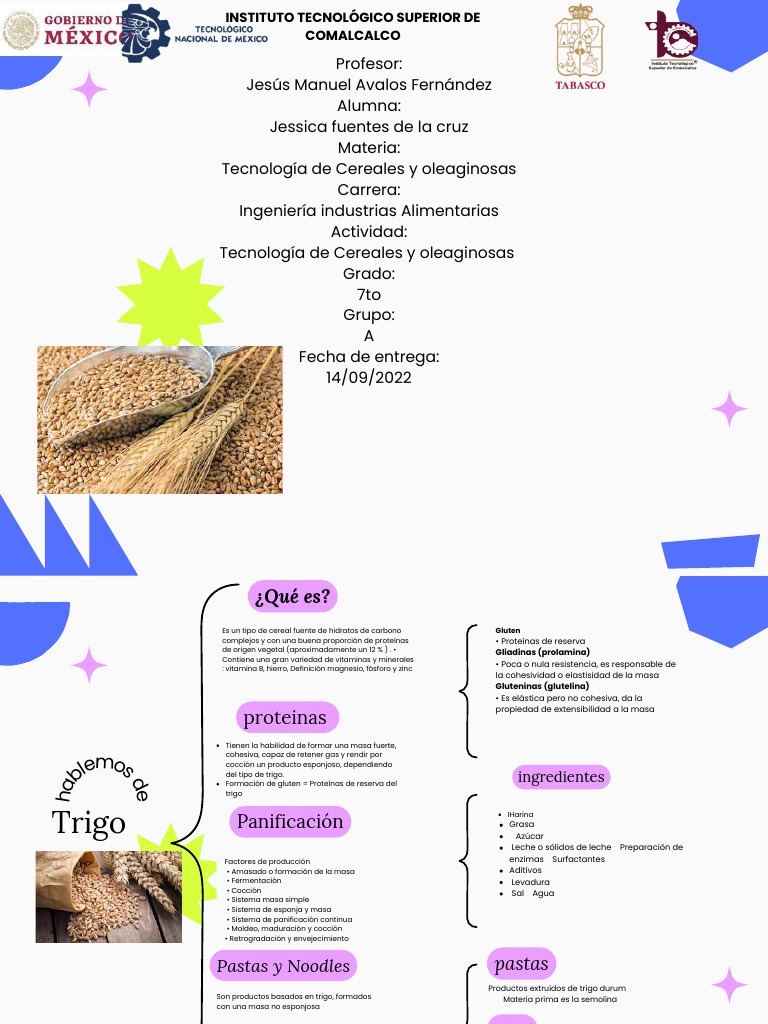 Tecnología de Cereales y Gluten | PDF | Trigo | Cereales