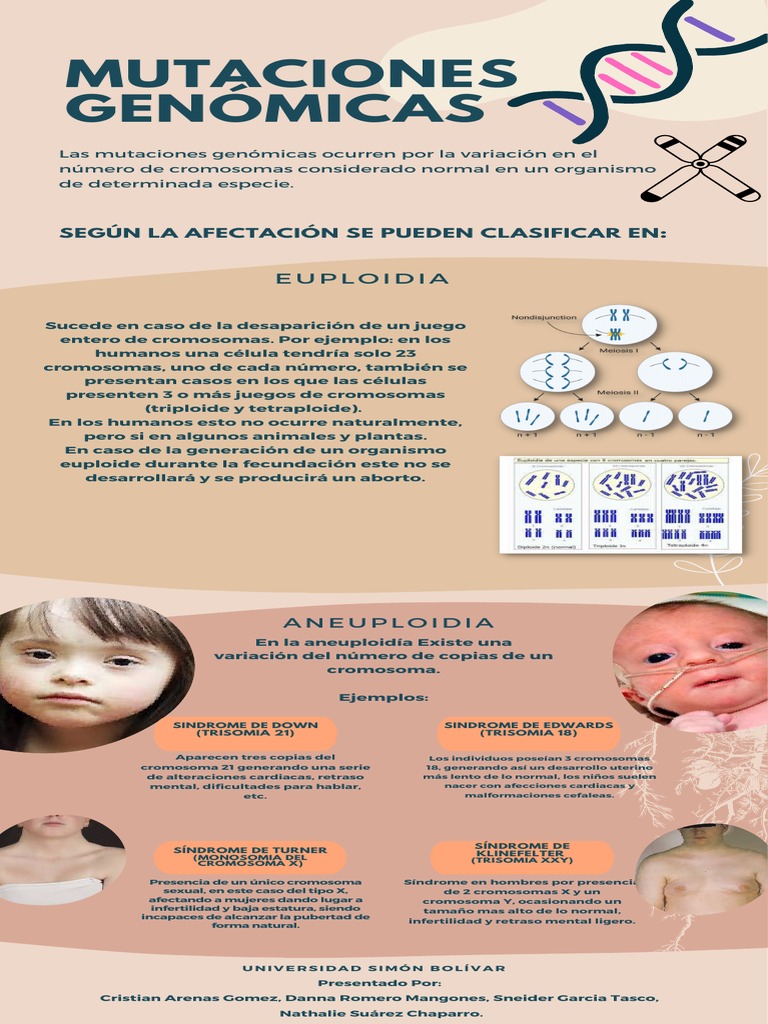 Mutaciones Genomicas | PDF | Mutación | Enfermedades y trastornos