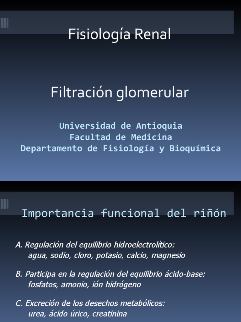 Función Renal | PDF | Riñón | Órgano (anatomía)