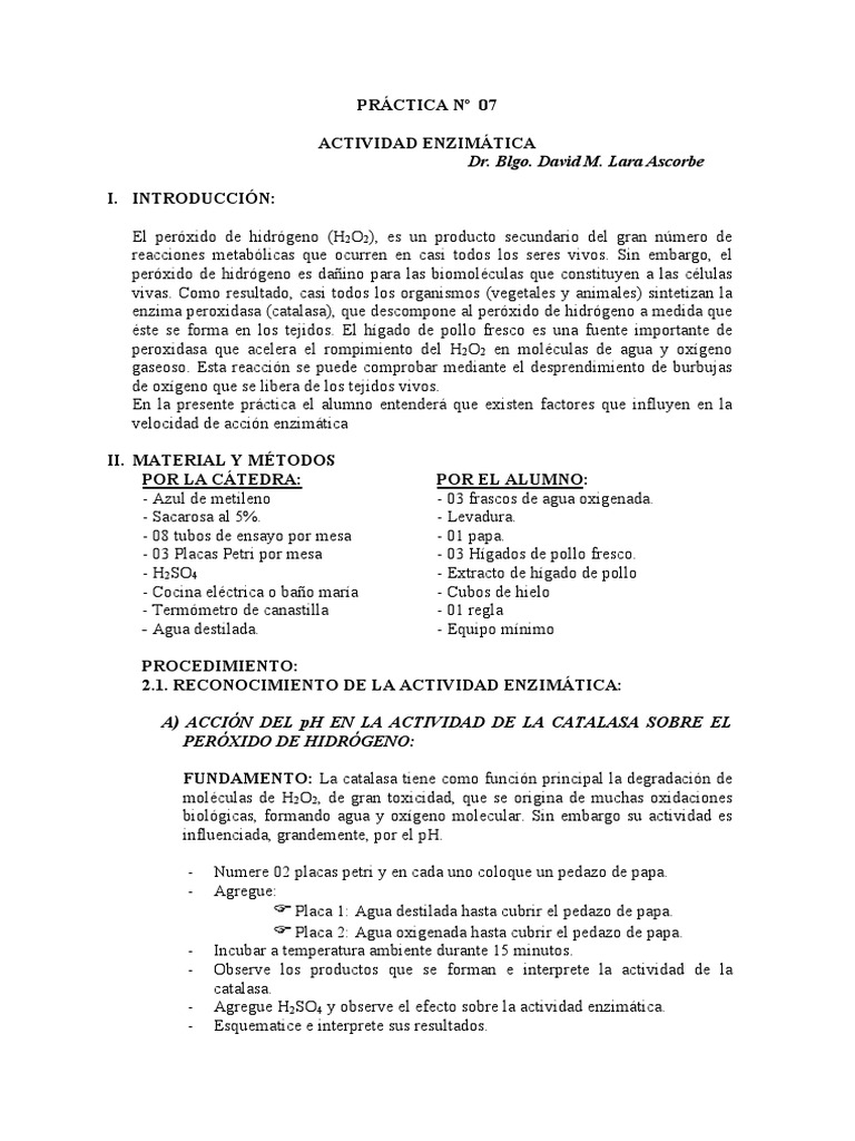 Pract 7 ACTIVIDAD ENZIMÁTICA | PDF | Peróxido de hidrógeno | Agua