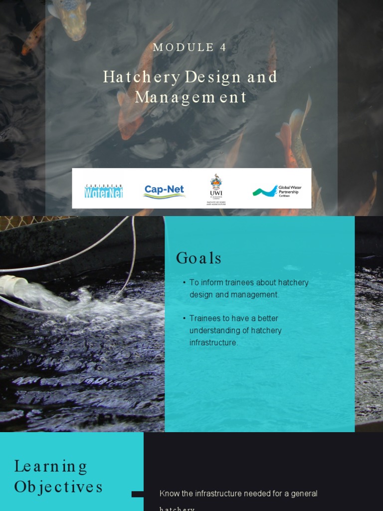 Module 4 Hatchery Design and Management | PDF | Spawn (Biology ...