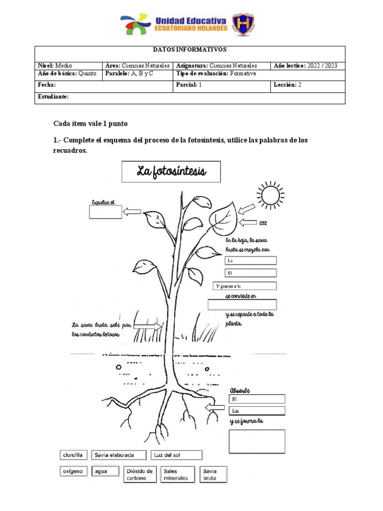 Leccion de CCNN | PDF