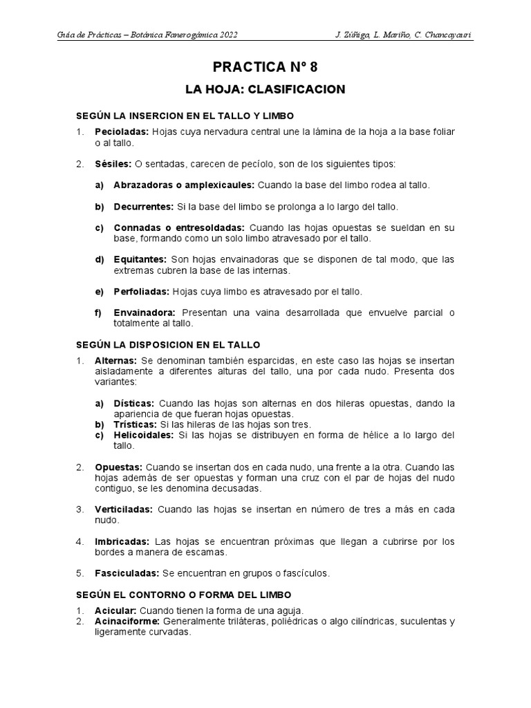 Practica #8 Clasificacion de Hoja | PDF