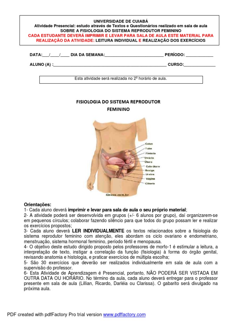 Sistema Reprodutor Feminino Cmf-1 Fisiologia - 20131021151845 | PDF | Ovário | Ciclo menstrual