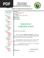 Barangay DRRM Plan Template | PDF | Hazards | Emergency Evacuation