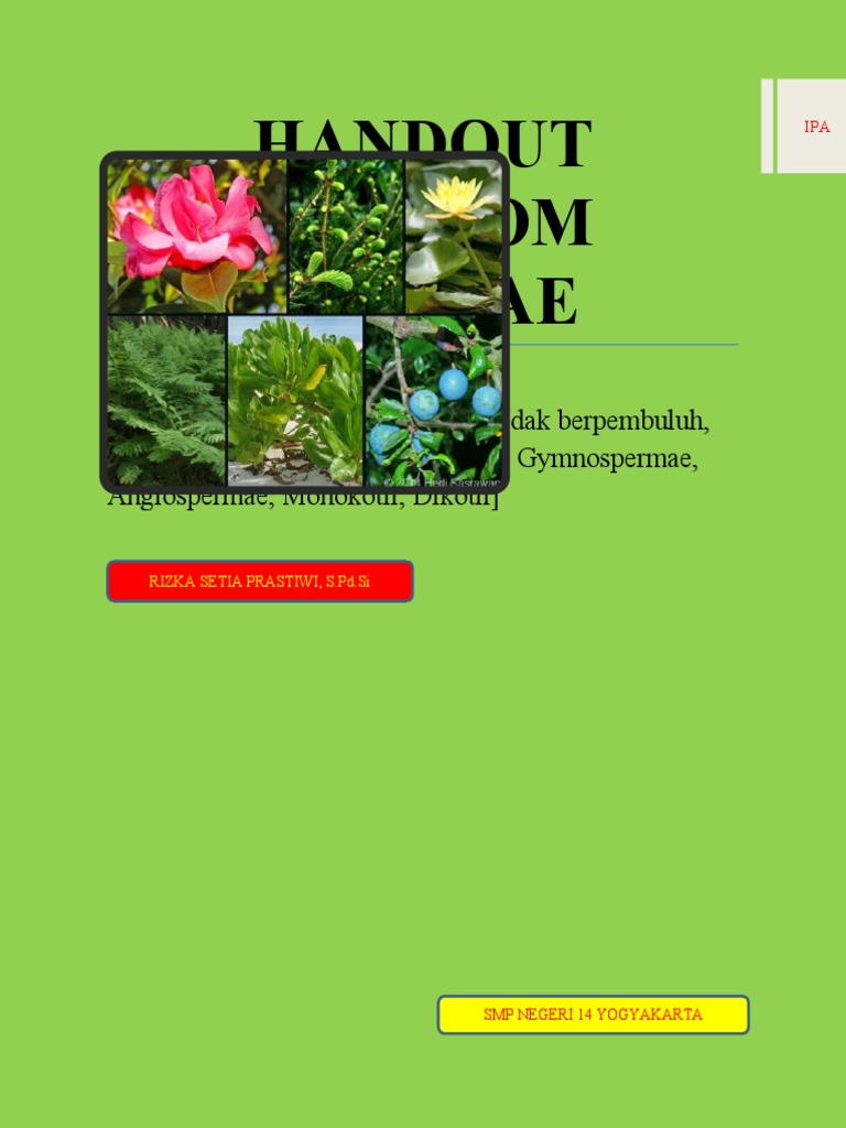 Handout Kingdom Plantae | PDF