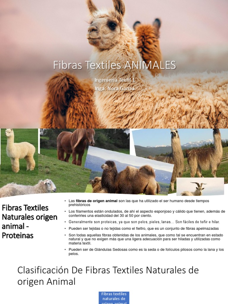 Fibras Textiles - NATURAL - Animal | PDF | Seda | Vacas