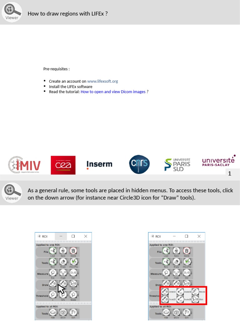 LIFEx Tutorials How To Draw Regions | PDF | Icon (Computing) | Menu (Computing)