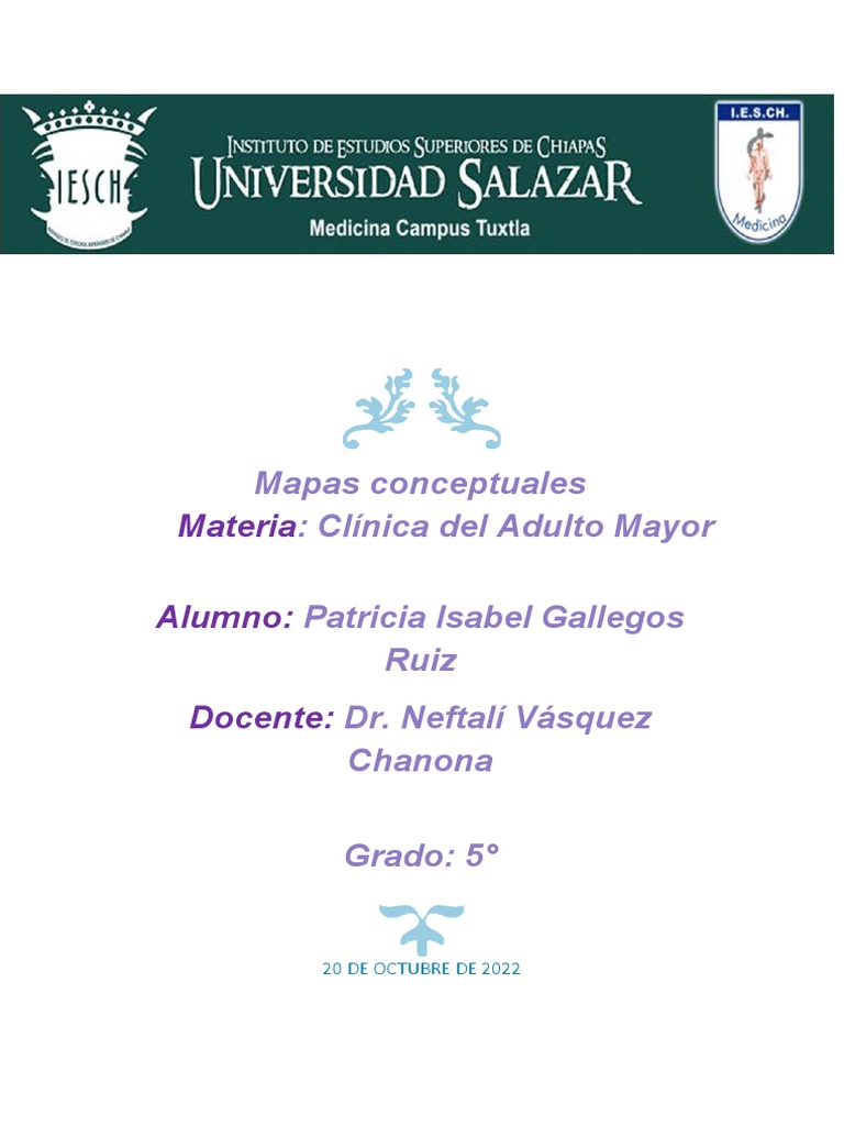 Mapas Conceptuales de Cam | PDF