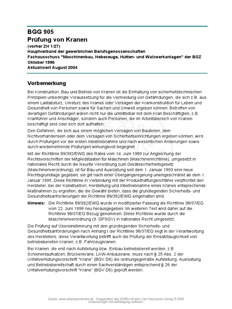 BGG 905 Prüfung Von Kranen | PDF