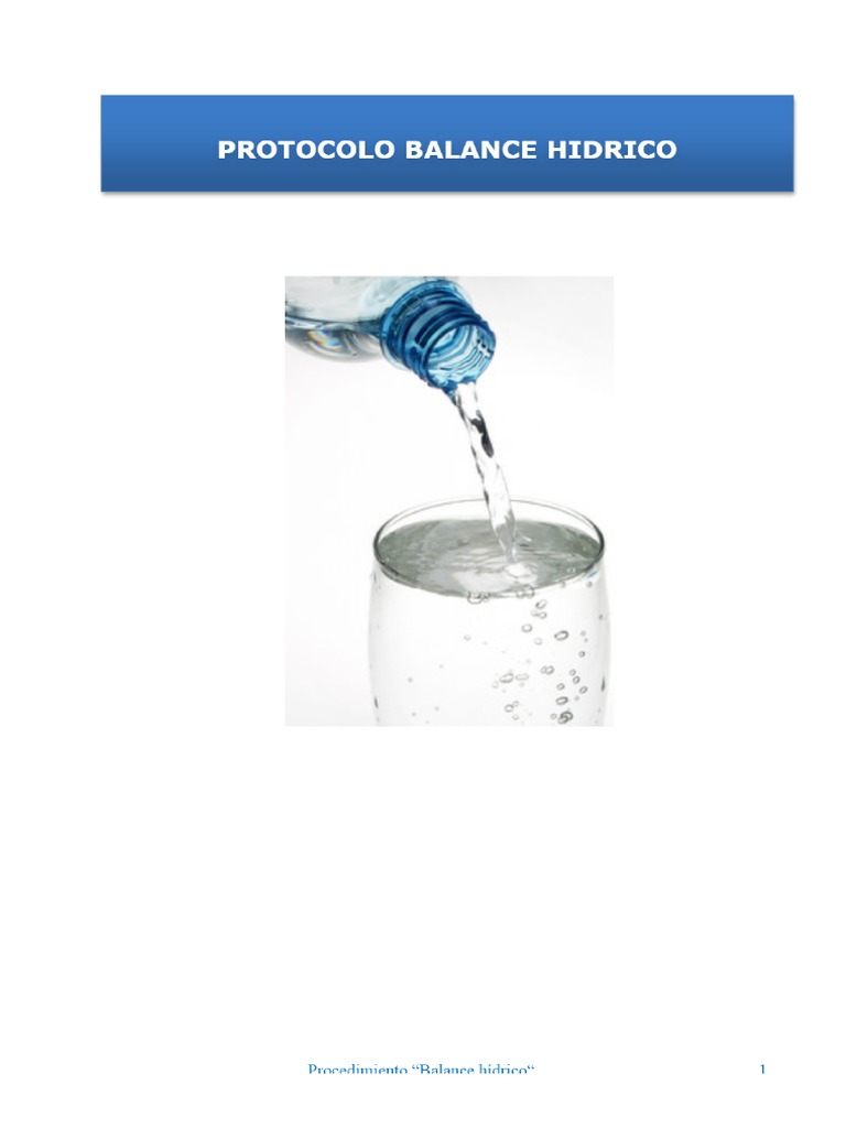 Protocolo Balance Hidrico PDF | PDF