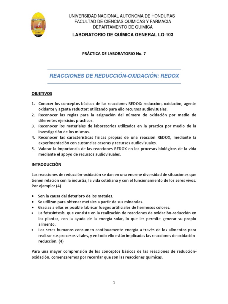 Documento Word - REDOX | PDF | Redox | Naturaleza