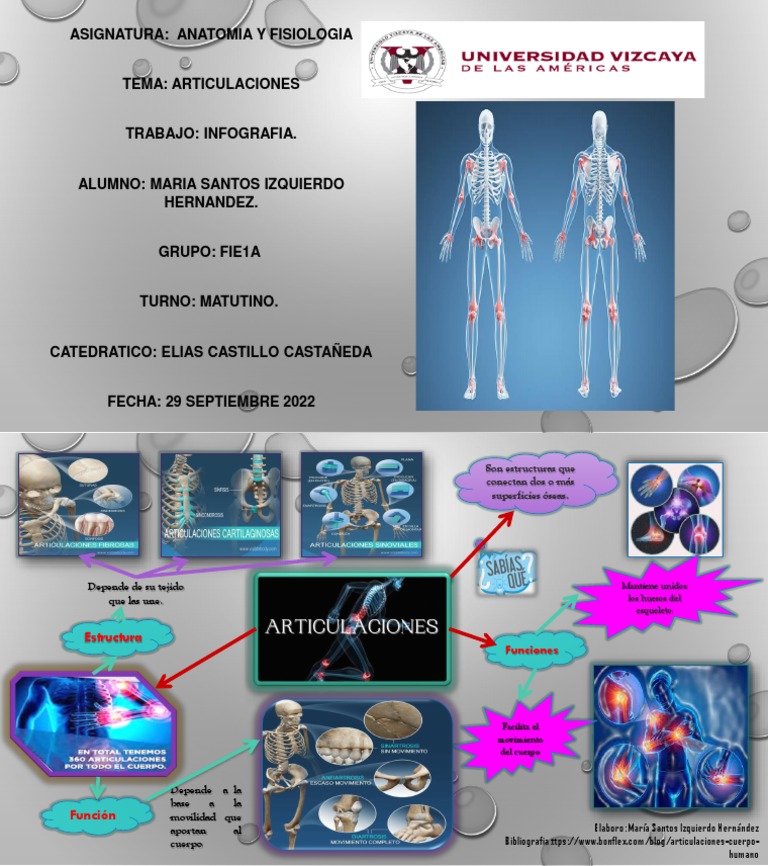 Infografia Articulaciones | PDF