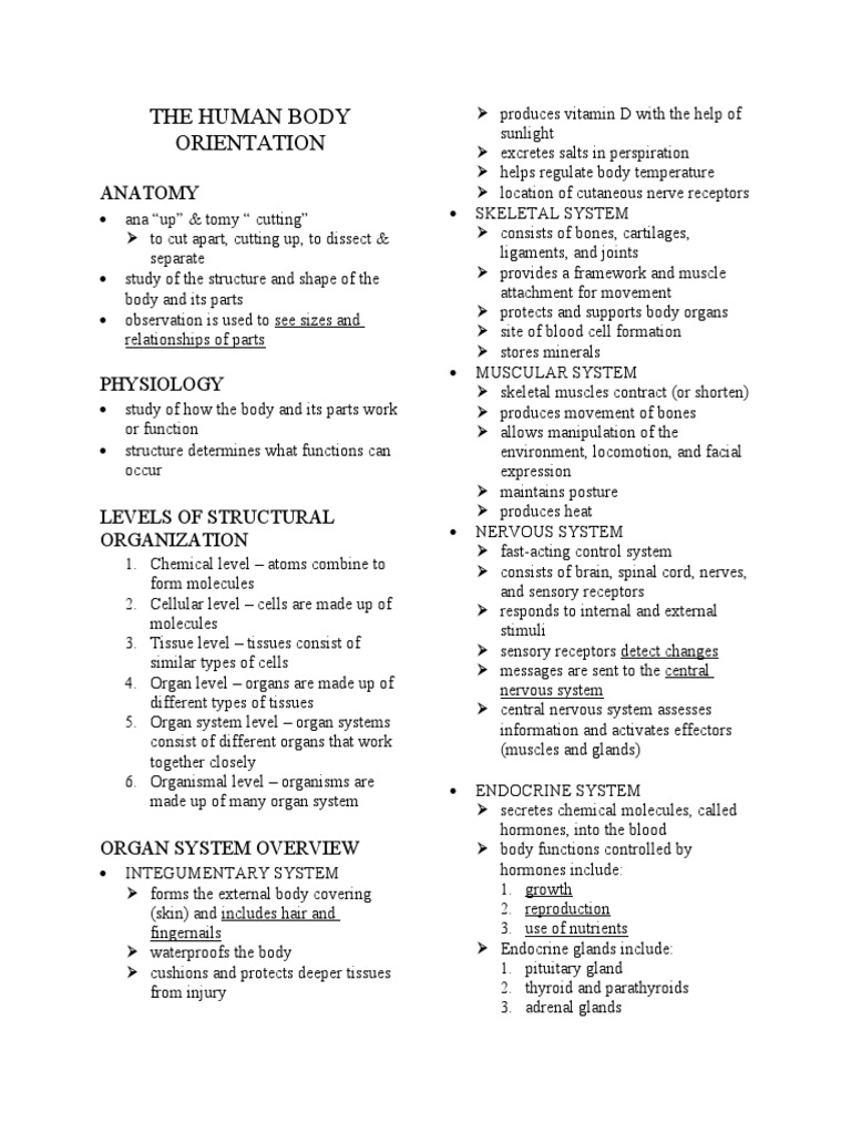 The Human Body Orientation | PDF | Anatomical Terms Of Location | Human ...