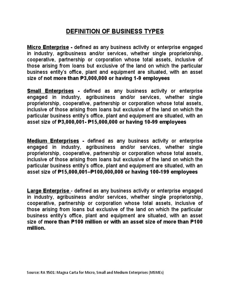 Definition of Business Type RA 9501 | PDF