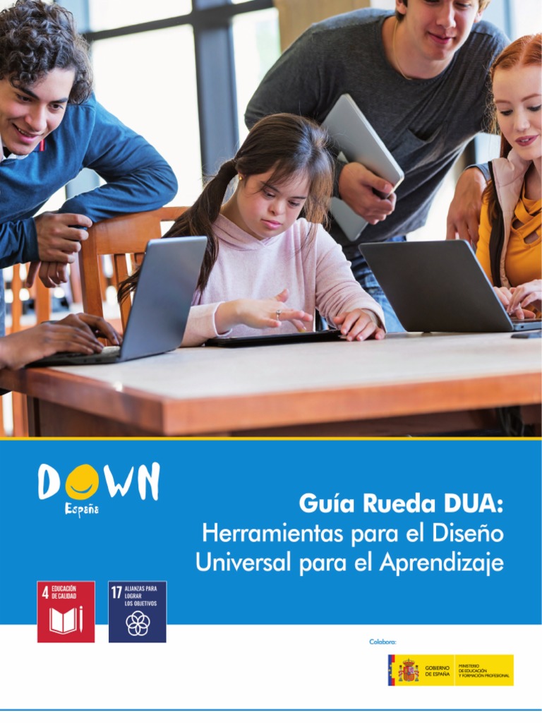 Guía Rueda Dua - Herramientas para El Diseño Universal para El ...