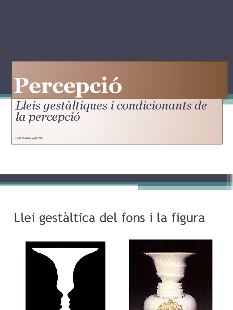 Power Point Percepcio | PDF