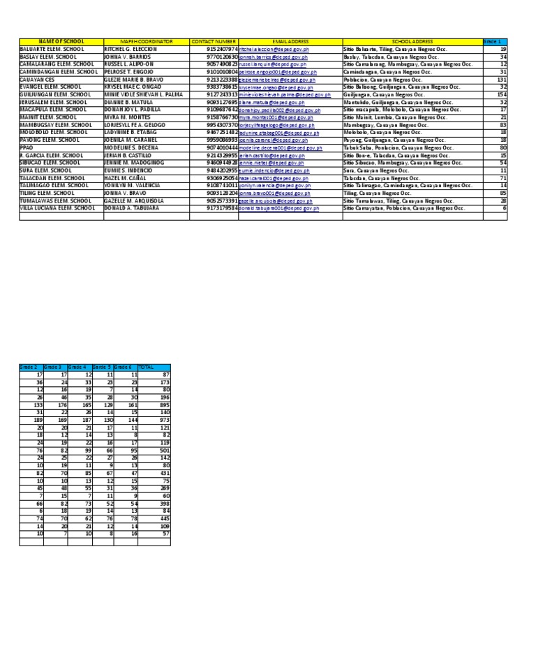 New School Data Base Cauayan Cluster 1 | PDF