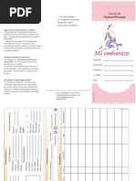 Carnet Control Prenatal | PDF | El embarazo | Partería