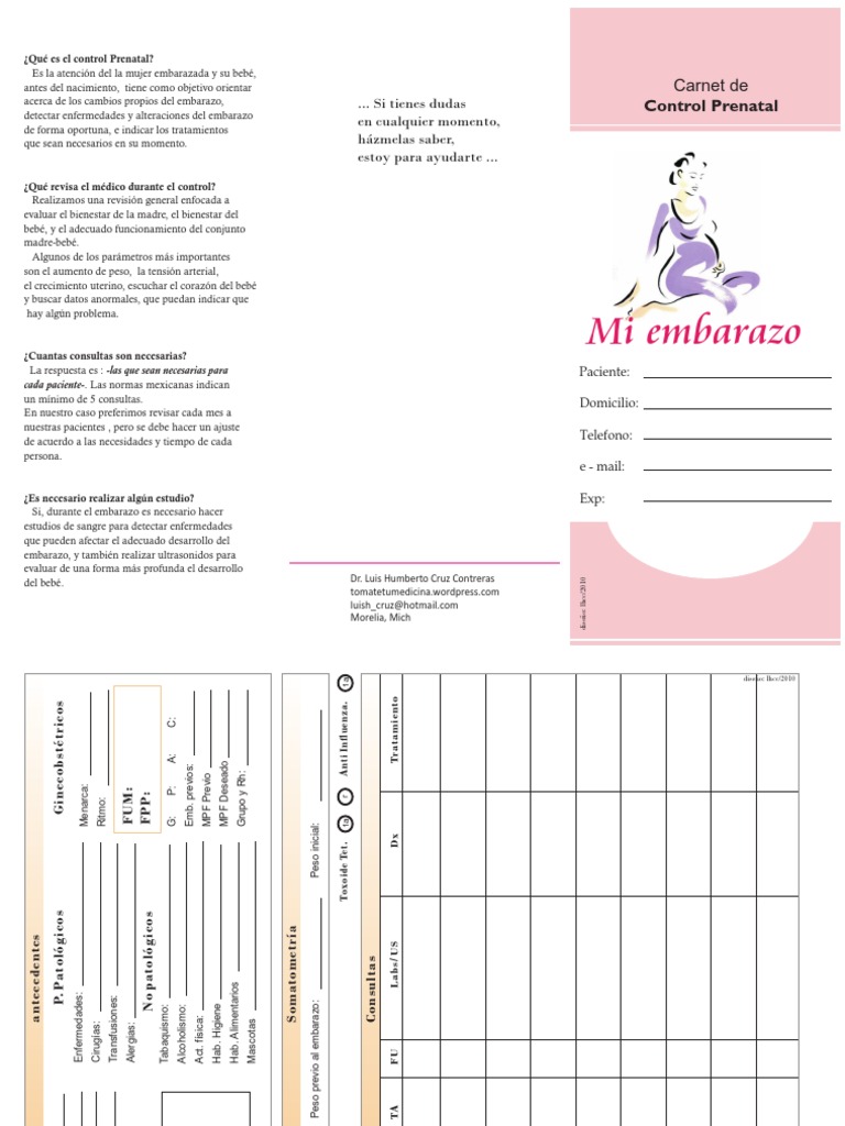 Carnet de Control Prenatal para Embarazadas | PDF